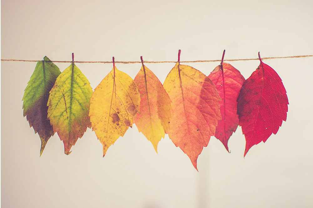 Una vida transformada - Ministerio Internacional Centro de Esperanza